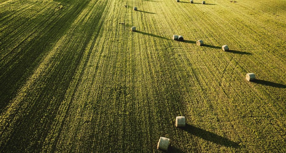 Moldova Farming – Agricultura si ECO Farming